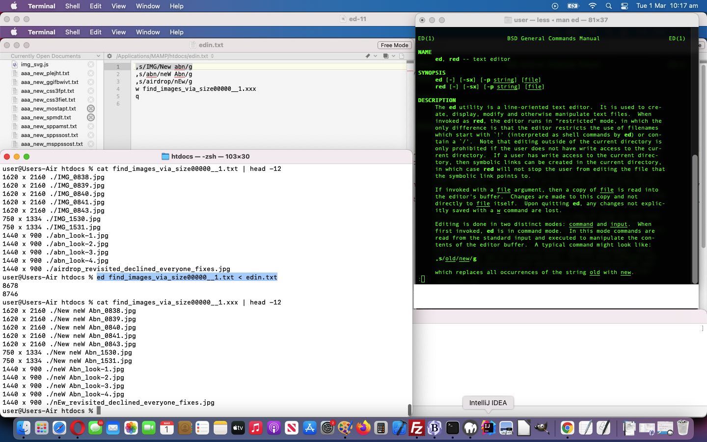 Command Line Macos Ed Line Editor Primer Tutorial Robert James Metcalfe Blog