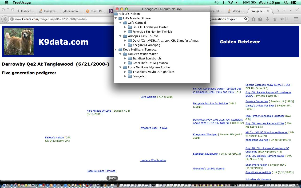 Java Swing JTree Primer Tutorial | Robert James Metcalfe Blog Java Swing JTree Primer Tutorial | Robert James Metcalfe Blog